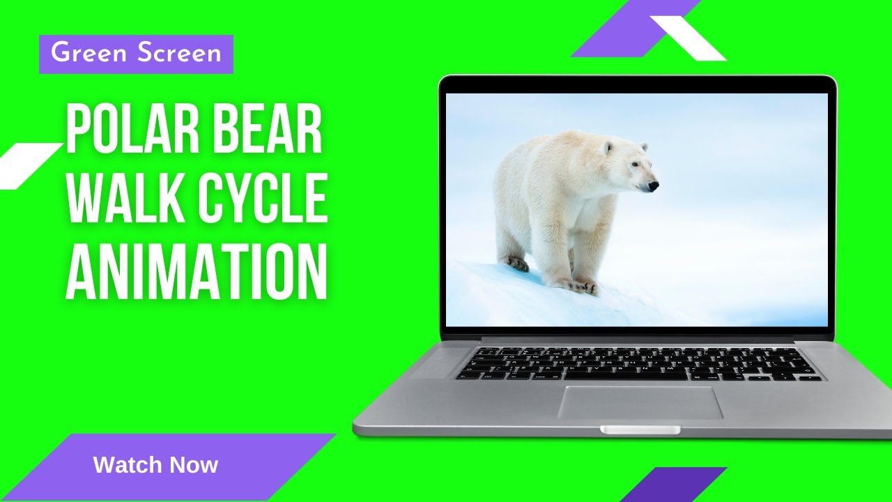 Polar Bear Walk Cycle Green Screen| Beautiful Effect |No Copyright ...