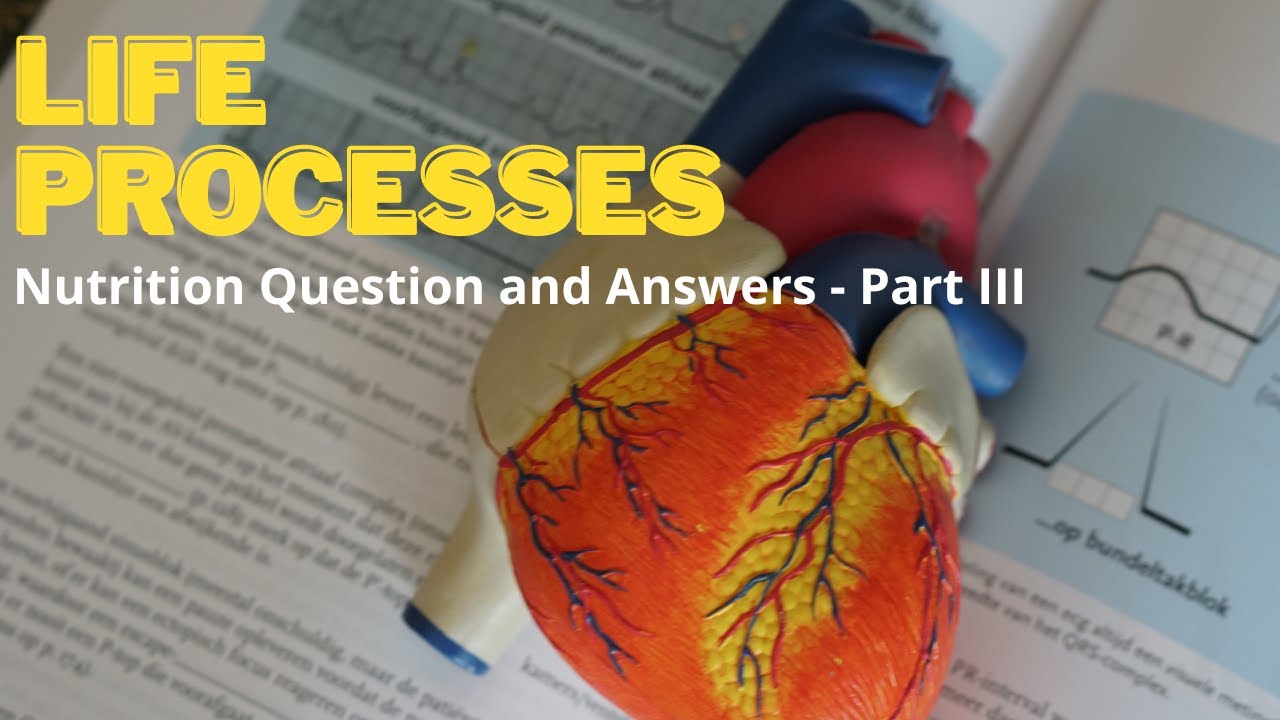 Nutrition Questions and Answers - Short and Long Questions Part II ...