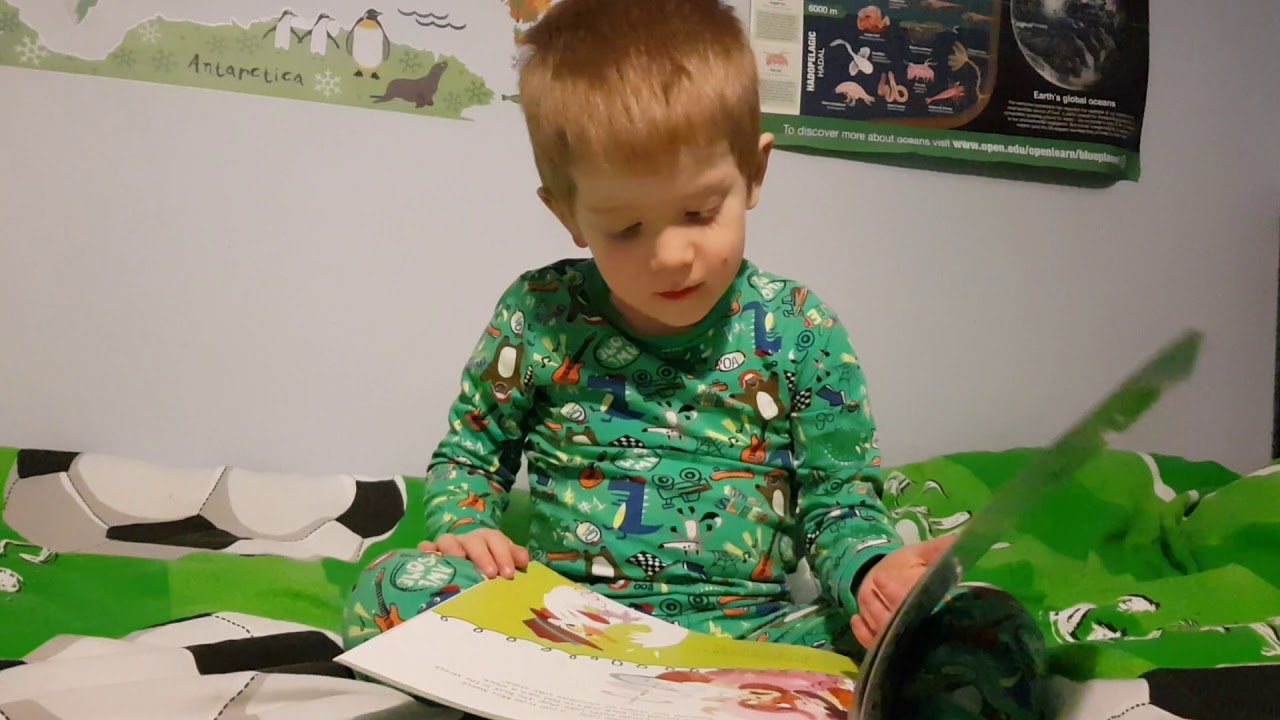 T (sort of) reads Ducktective Quack and the Cake Crime Wave by Claire ...