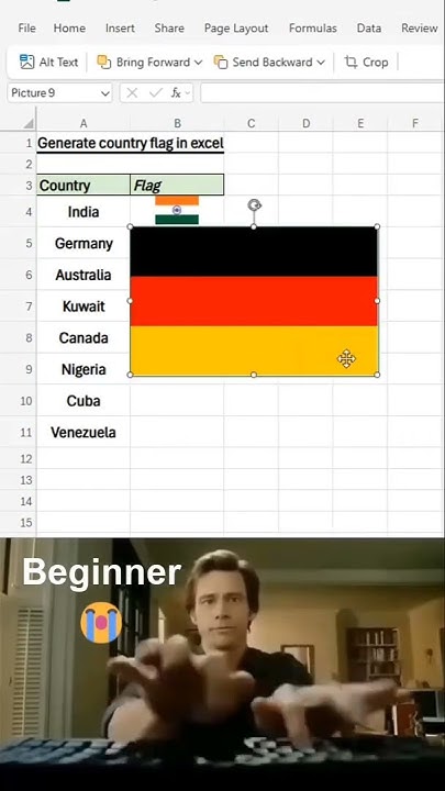 ExcelTips: Generate Country Flags using the method. #excel #excelshortcuts #exceltips - YouTube