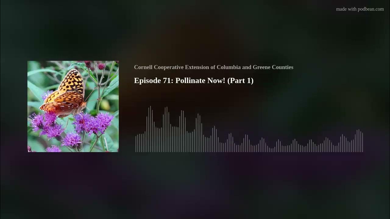 Episode 71: Pollinate Now! (Part 1) - YouTube