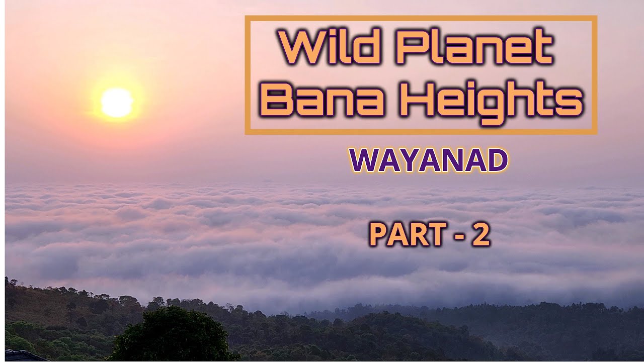 Wild Planet Bana Heights PART-2 Tour#17 - YouTube