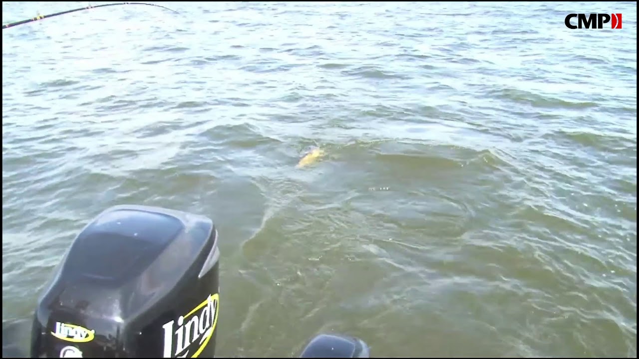 CMP Group | TROLLMaster | TROLLMaster PRO Idle Features - YouTube