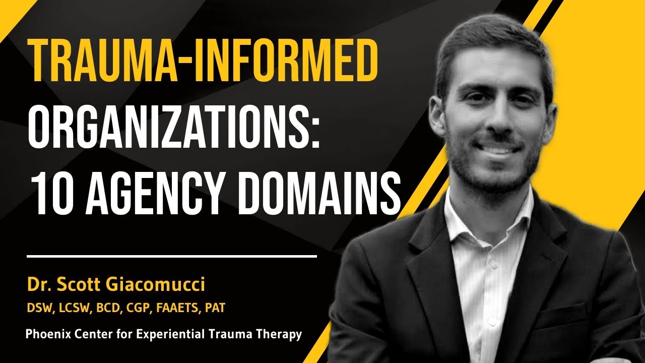 Trauma-Informed Organizations: The 10 Domains - YouTube