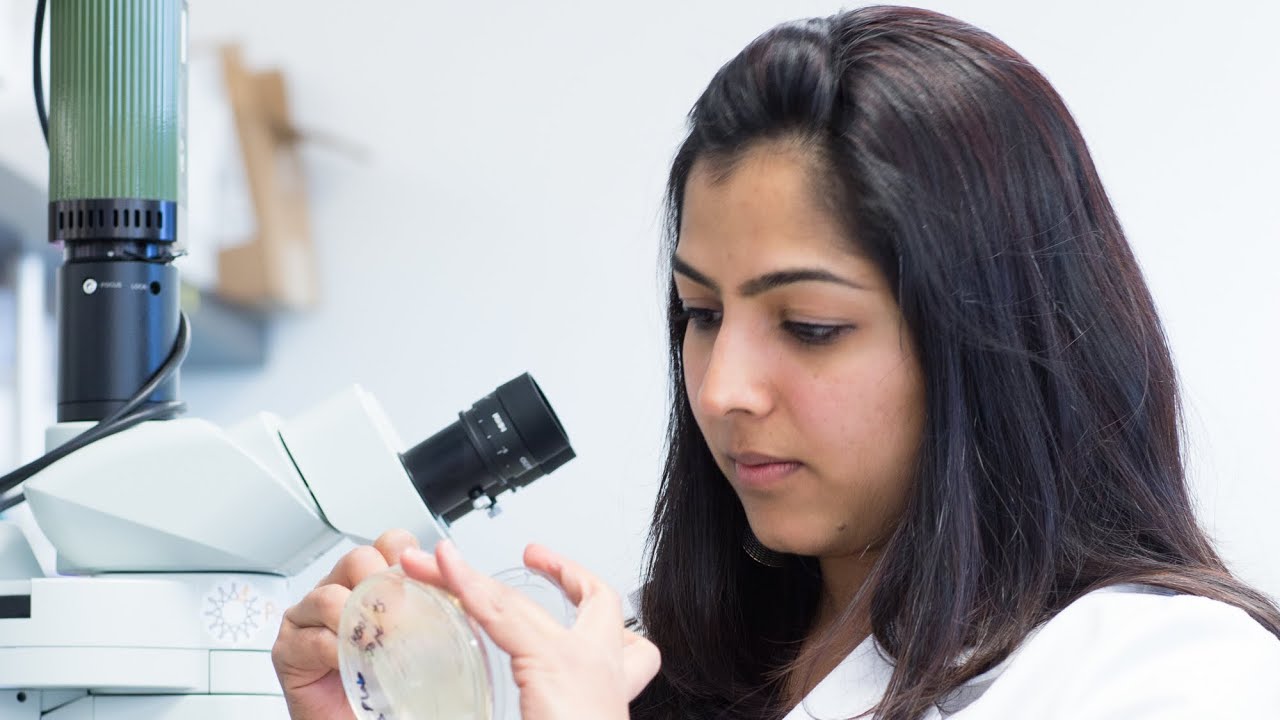 Perlstein Lab Explained - YouTube