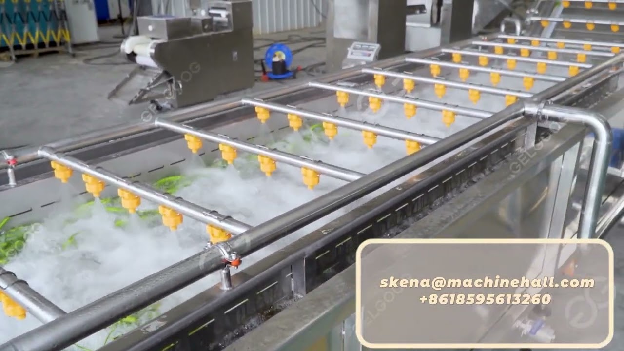Vegetable Washing Line With Washing Drying Machine For Farm - YouTube