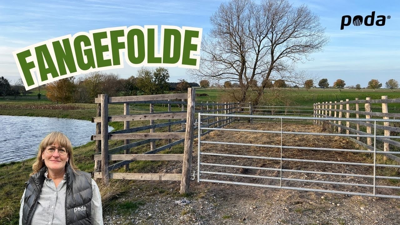 Fangefolde | Poda Hegn - YouTube