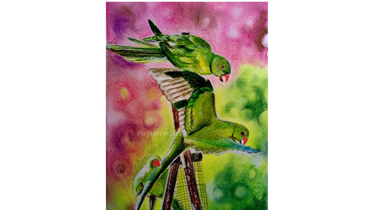 Drawing of three parrots | Bird drawing - YouTube