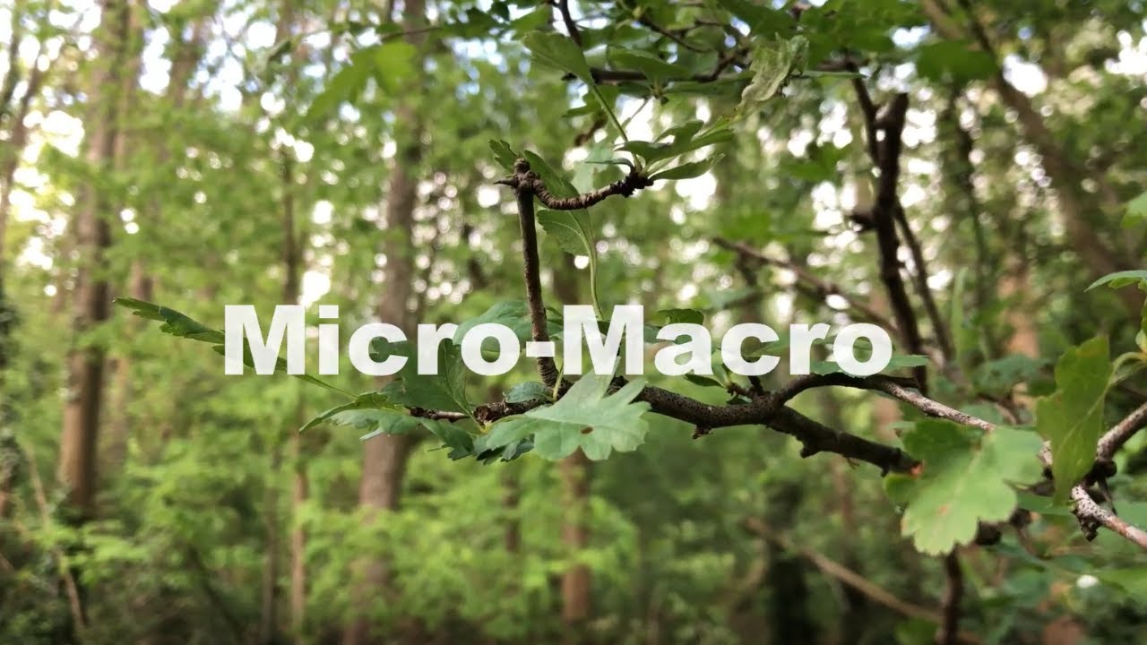 Micro-Macro - YouTube