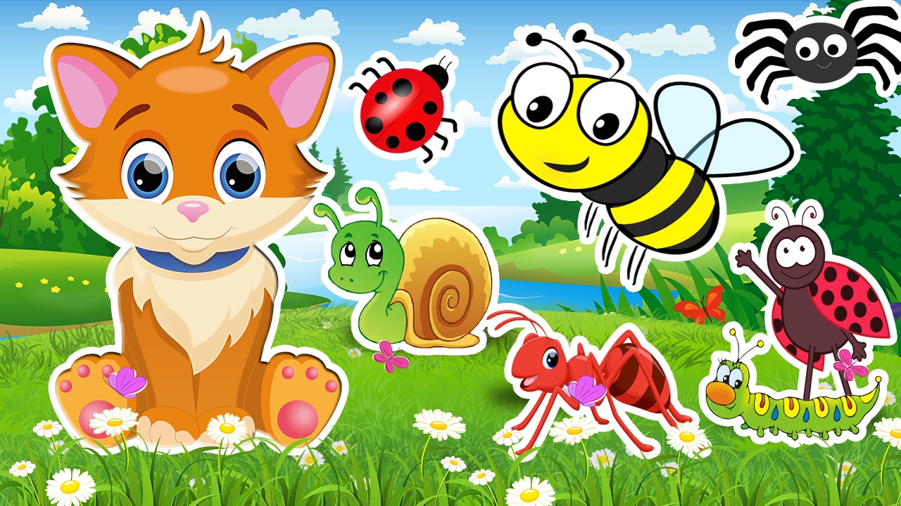 Learn Insects and their sounds with a cute cat - YouTube