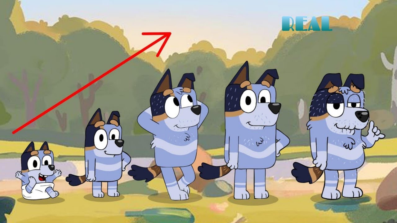Bluey Heeler GROWING UP EVOLUTION - YouTube
