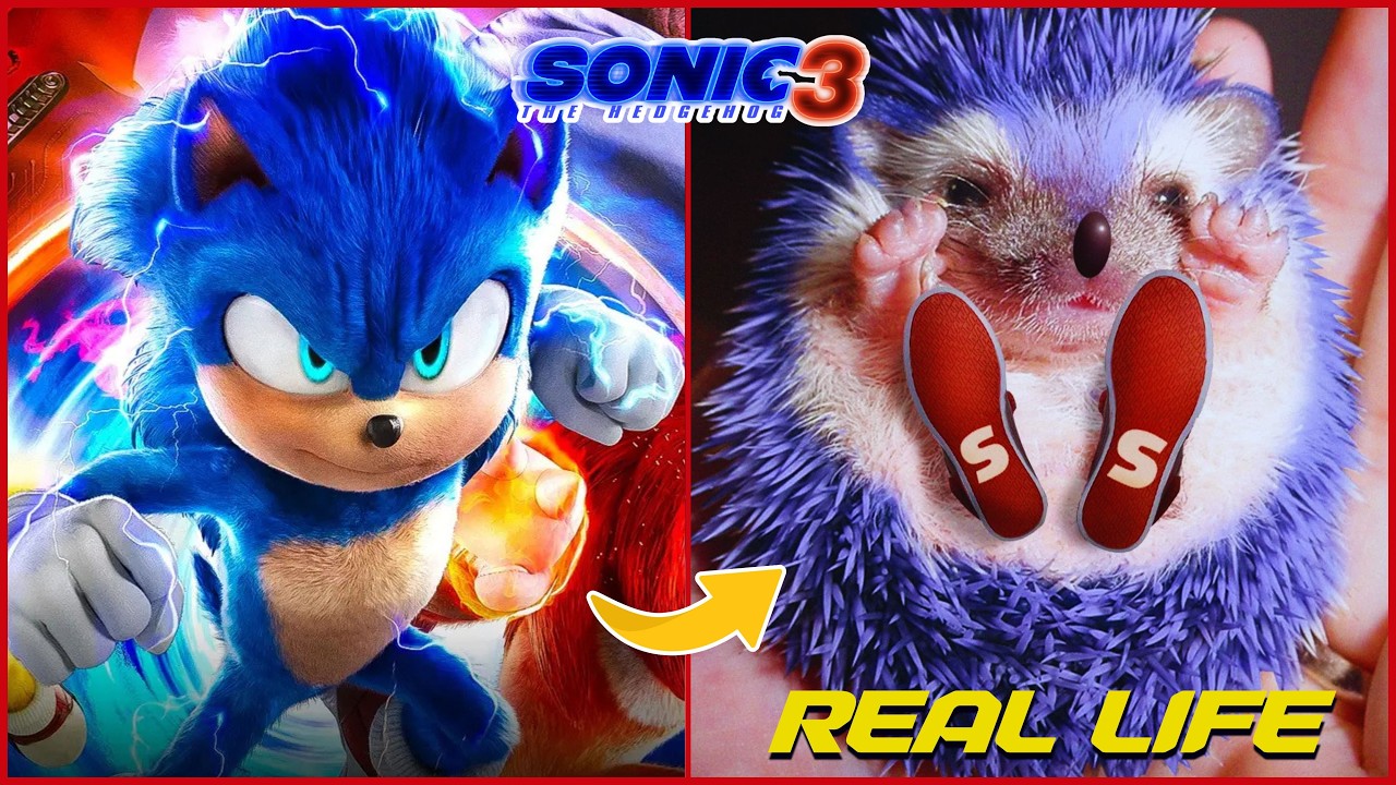 Sonic The Hedgehog 3 in Real Life | Sonic Movie Quiz | Sonic the ...