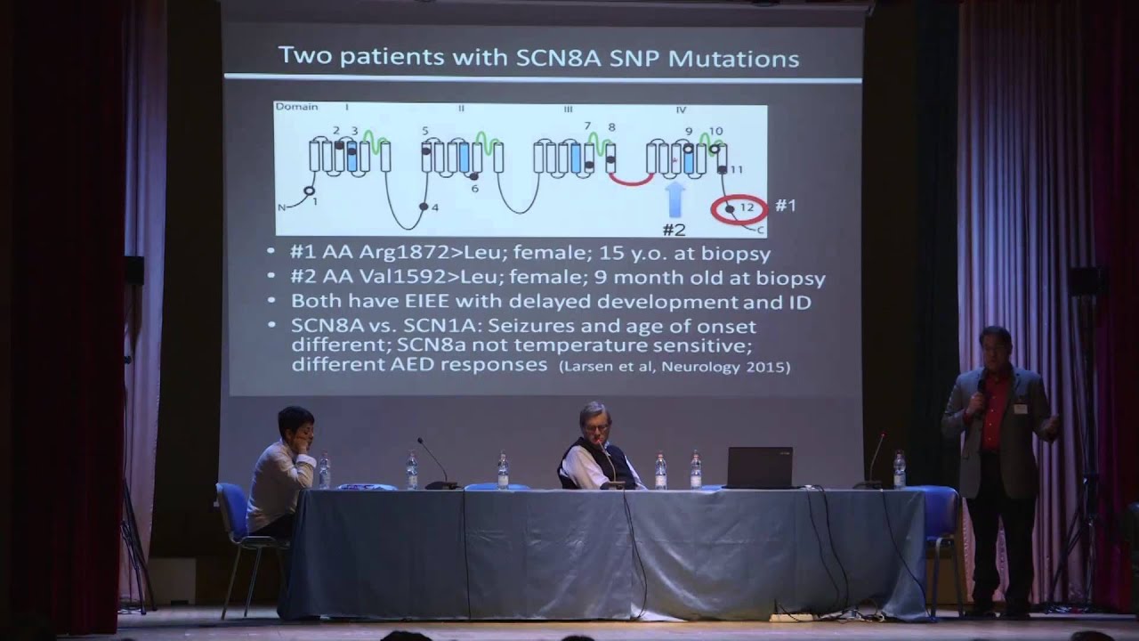 Modeling PCDH19 Epilepsy with Patient-Derived Cells and Rat In Utero ...