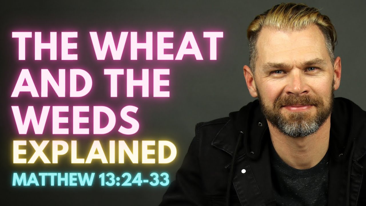 The WHEAT and the WEEDS parable explained | MATTHEW 13:24-33 - MATTHEW ...
