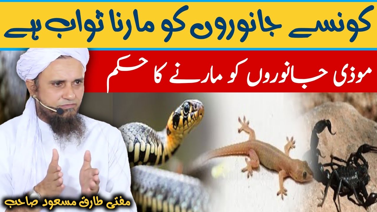 Konse Janwaron Ko Marna Sawab Hay کونسے جانوروں کو مارنا ثواب ہے Mufti ...