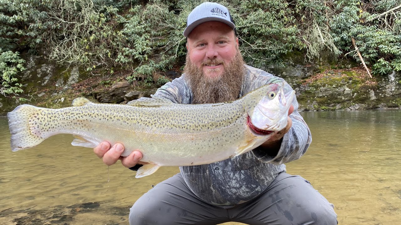 I caught the BIGGEST TROUT of my life in the blue ridge mountains ...