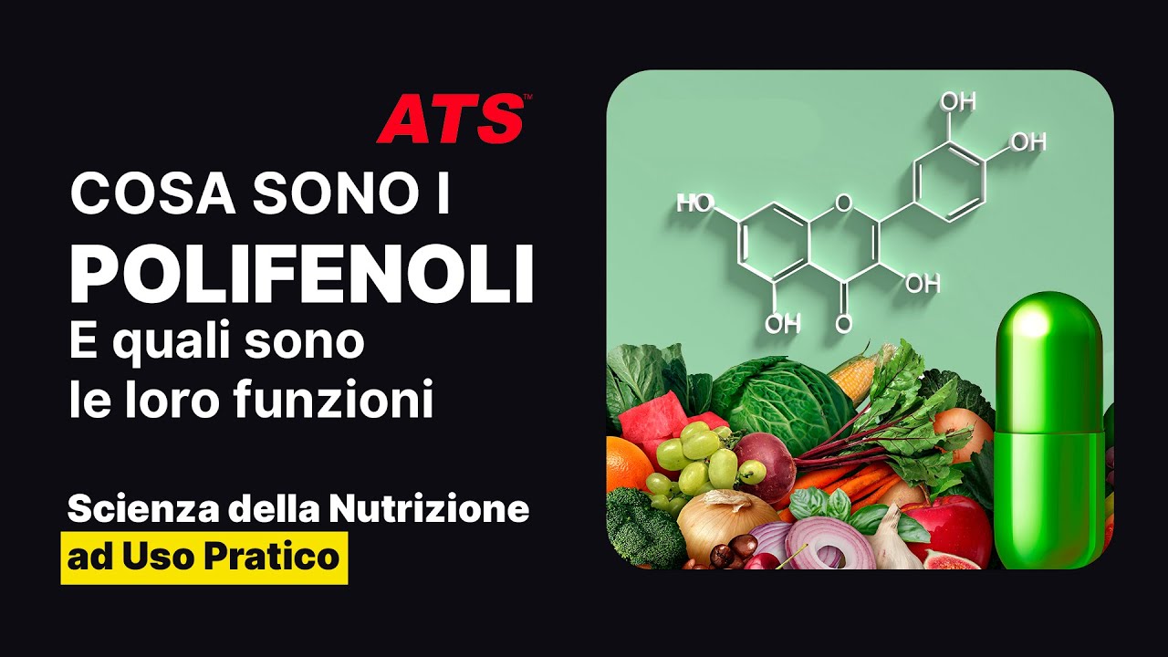 Che cosa sono i POLIFENOLI e quali sono le loro funzioni? Scienza della ...