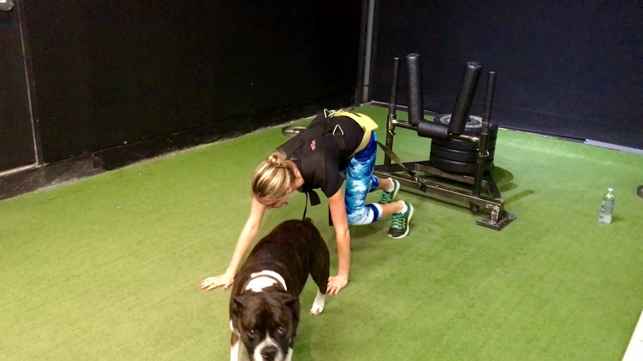 Kate Upton Bear Crawl/Reverse Sled Push Combo - YouTube