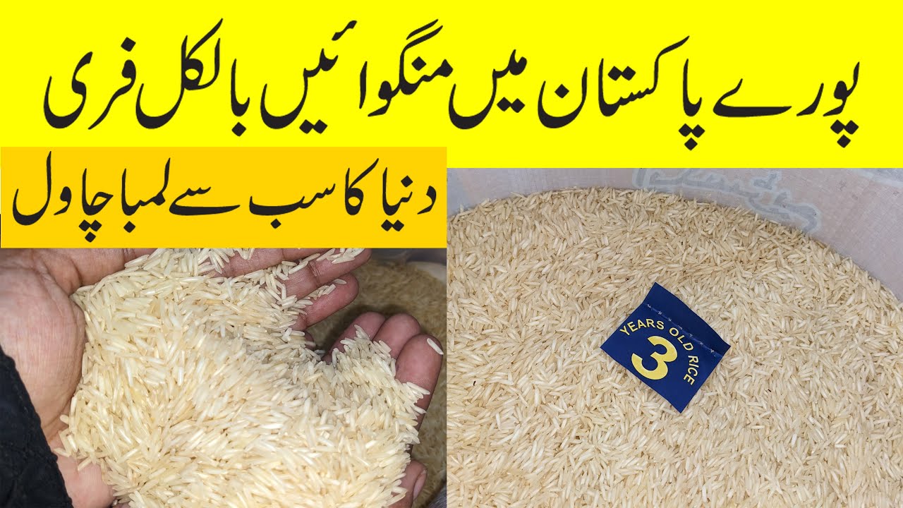 Export Quality Rice in Cheap Price | Rice Wholesale Market in Pakistan ...