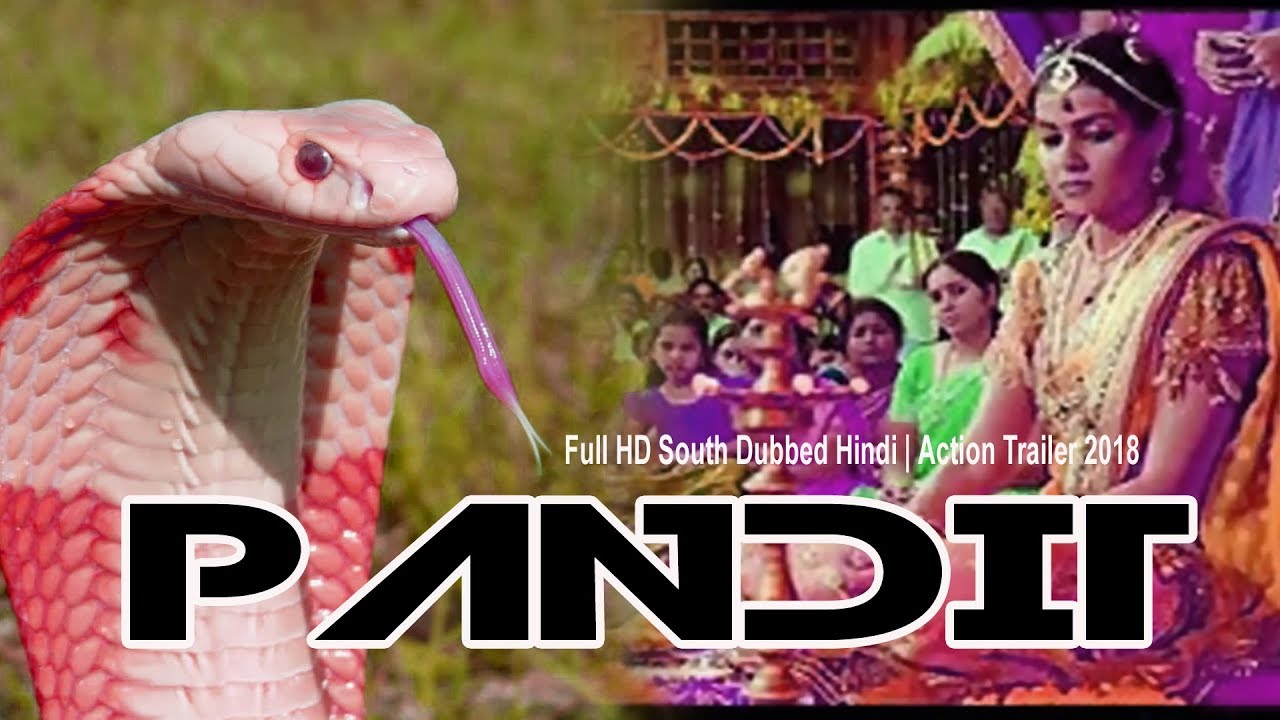 Pandit | Full HD South Dubbed Hindi Film | Action Trailer 2018 - YouTube