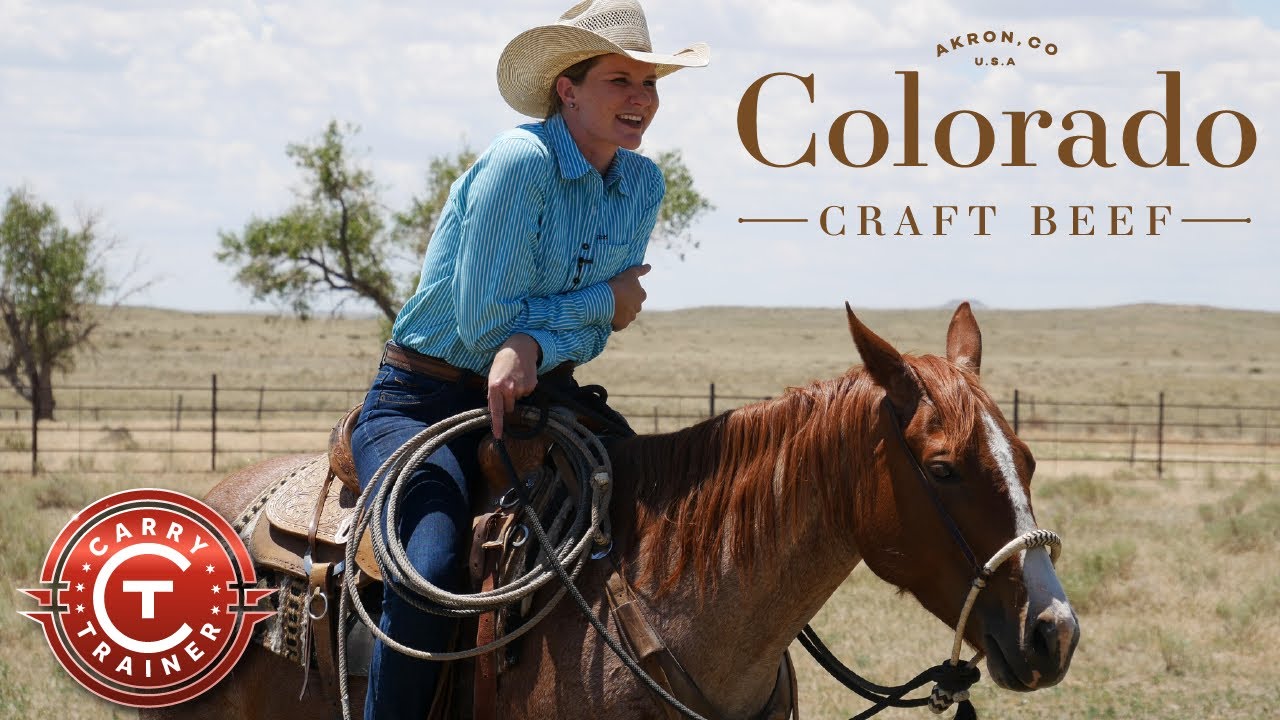 Visiting Colorado Craft Beef - YouTube