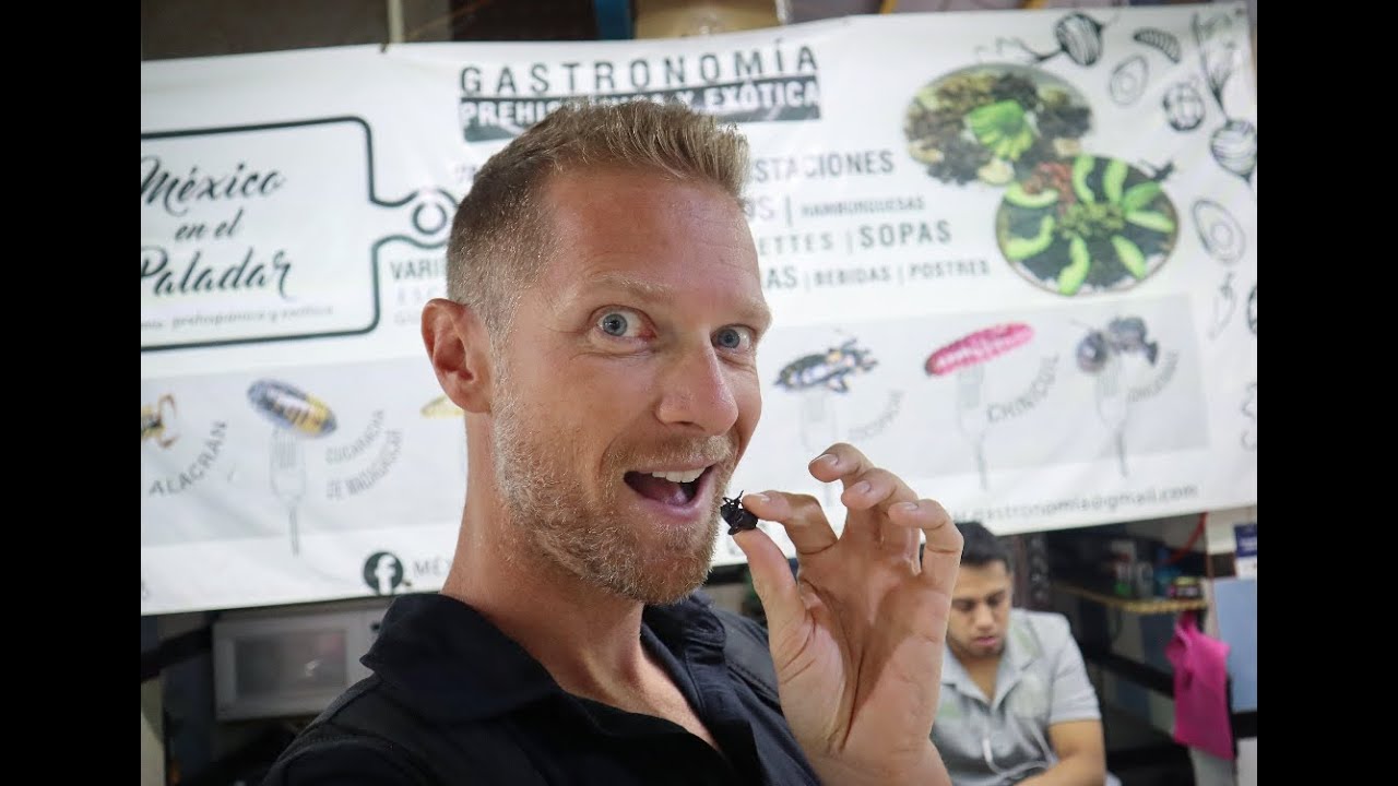 Josh Galt y la entomofagia - YouTube