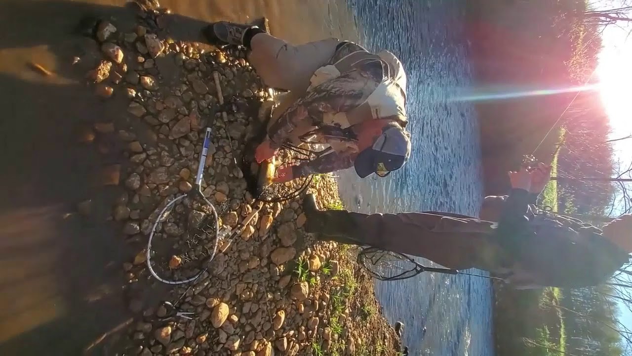 Catch 10 Trout Team VP Billy Bean’s Monster Brook from Pigg River in ...