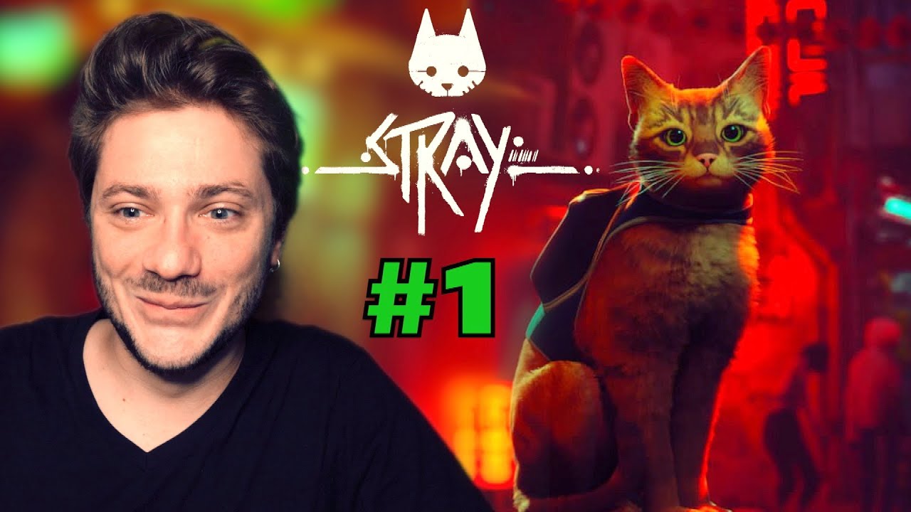 Découverte du POTI CHAT - STRAY #1 - Mathieu Sommet - YouTube