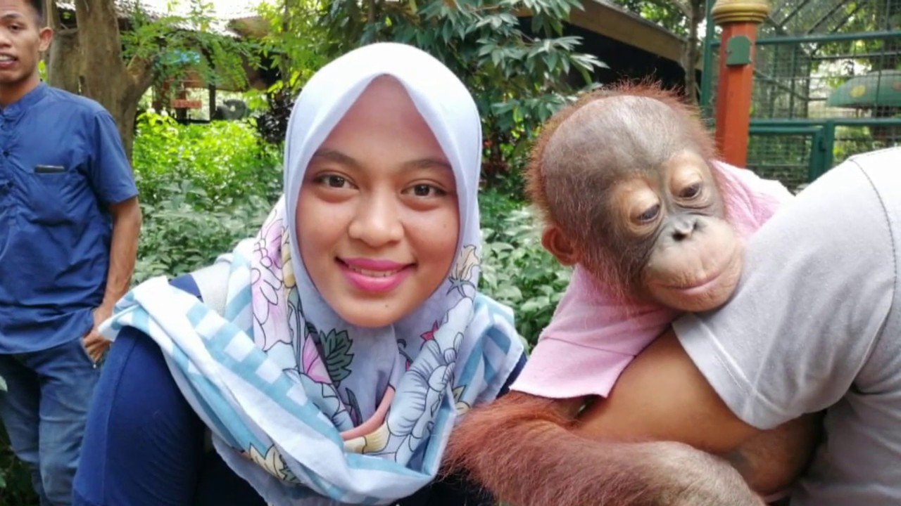 Seneng bareng bang Zai mas basor dan anam - YouTube