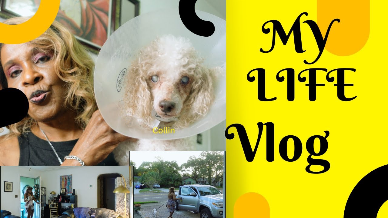 Days In The Life of A Vlogger #lifestyle #vlogs - YouTube