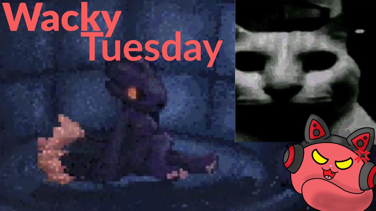 [Wacky Tuesday] Scav (Demo) and Uncanny Cat Golf - YouTube