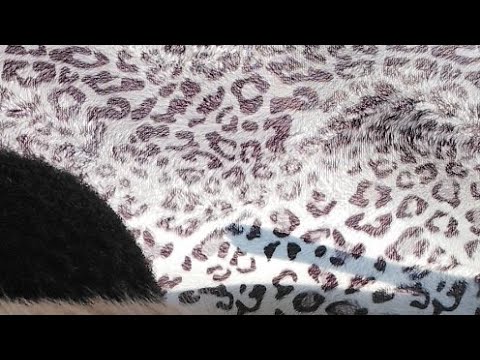 1 Man Show EP 41 - Umsamu Ohambayo - YouTube