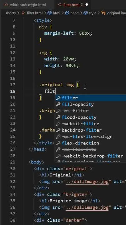 How to make the image Brighter and Darker using CSS Property | Web development using HTML, CSS ...