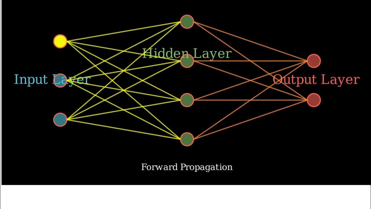 Neural Networks Explained | ZOKO AI | Forward & Backpropagation ...