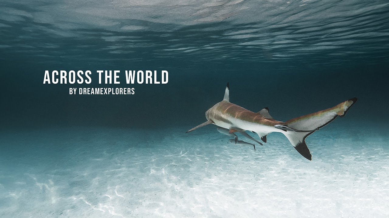 A JOURNEY ACROSS THE WORLD | Cinematic Travel Video - YouTube