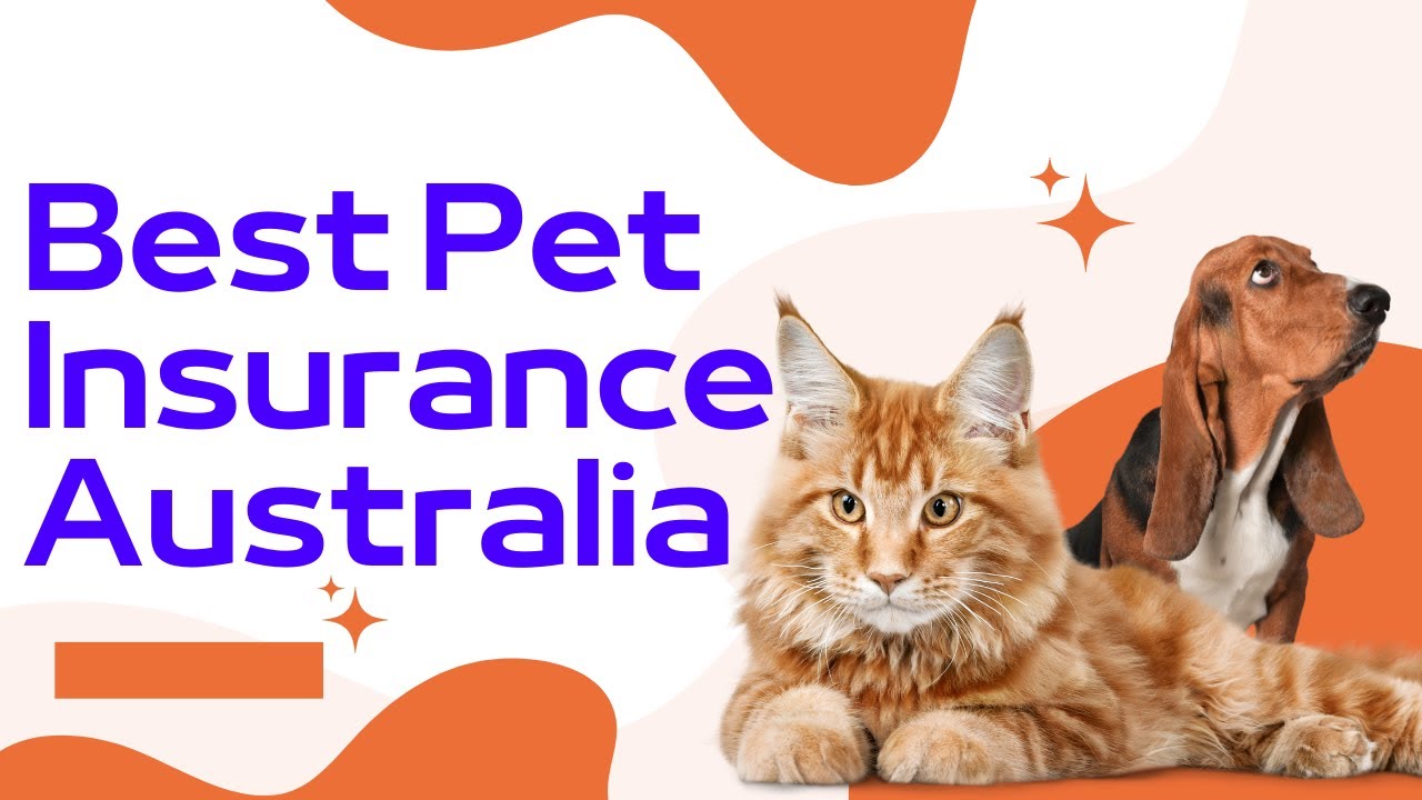 Best Pet Insurance Australia 🇦🇺 [Reviews] | Top 7 Most Affordable Pet ...