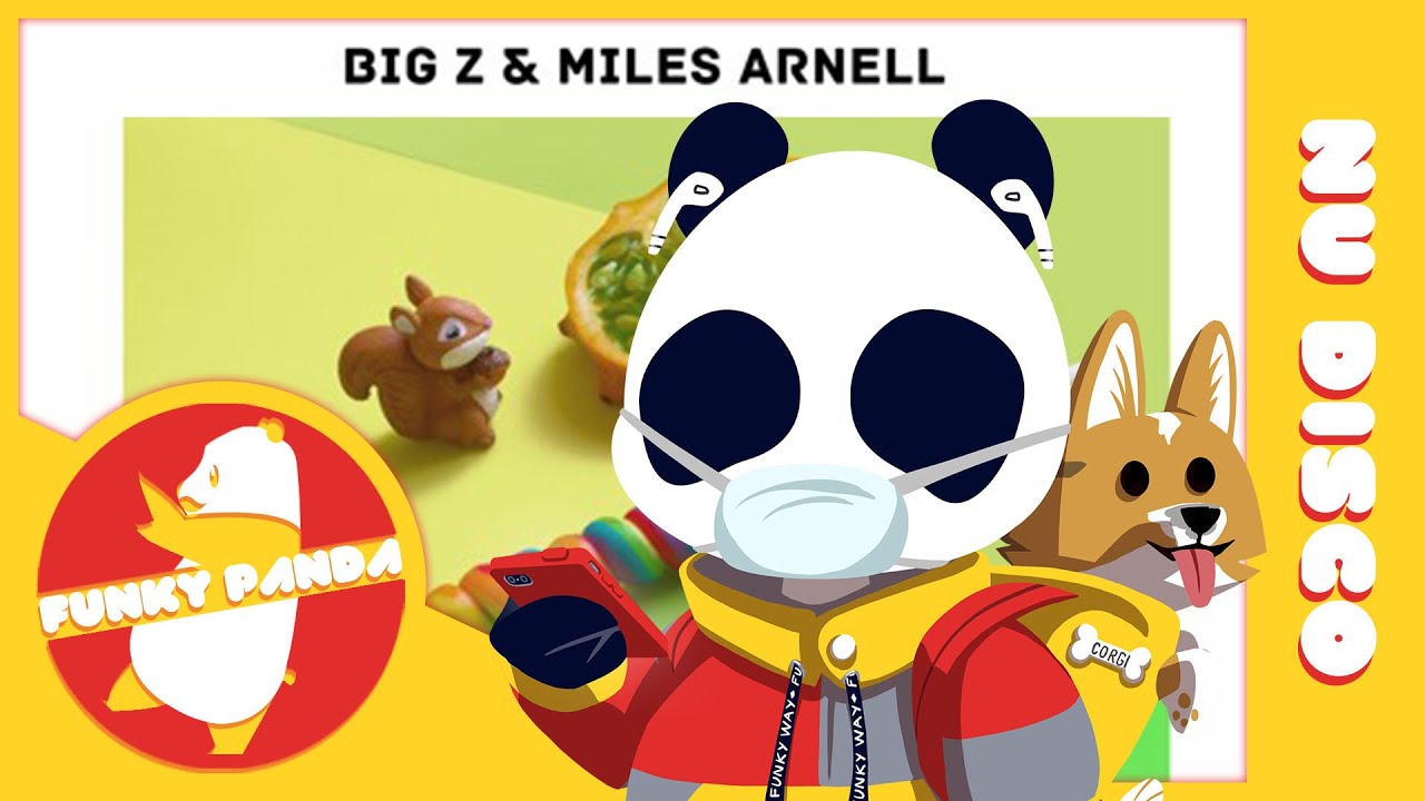 Nu Disco | Big Z & Miles Arnell - Lay Ya Down - YouTube