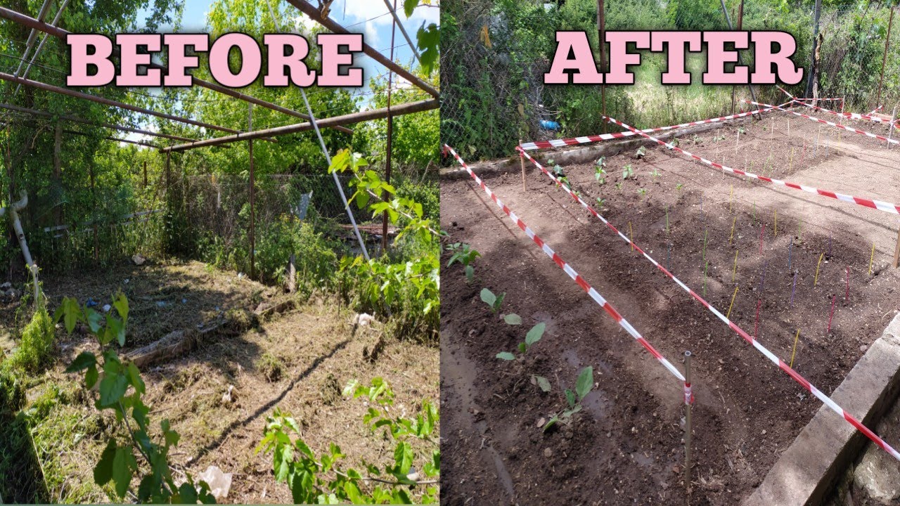 OLD FARM TRANSFORMATION | EASY WAY TO PLANT VEGETABLES - YouTube