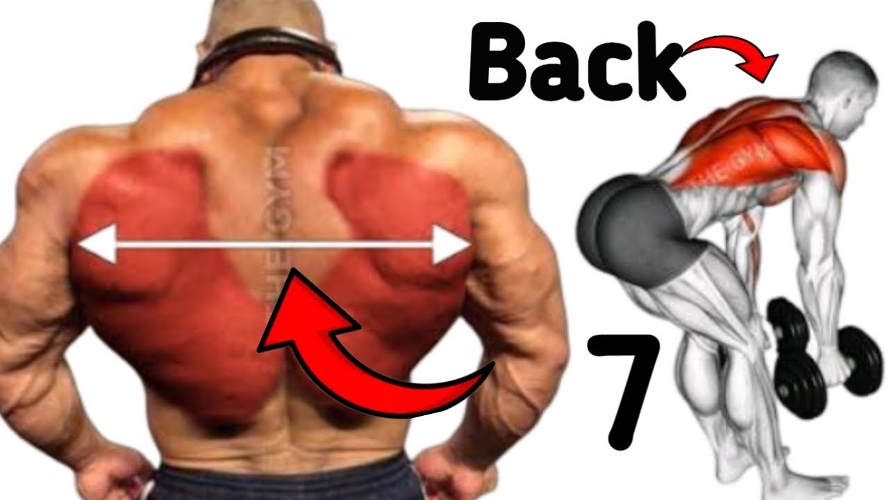 Best 7 Perfect Back workout Exercises { Fastest } || My The Gym ...