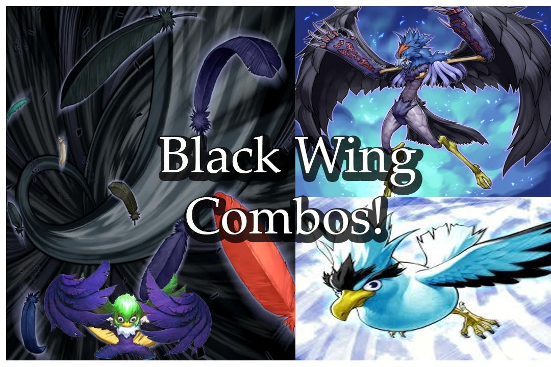 *YuGiOh* Blackwing Combo Video/Tutorial October 2013!! - YouTube