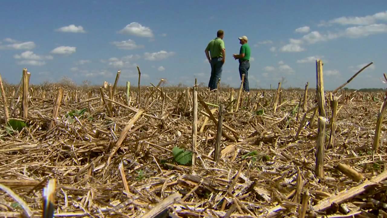 Harvesting Canola - YouTube