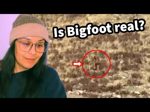 Colorado Bigfoot Sighting: Witnesses Spot 7-Foot Creature on Train Ride