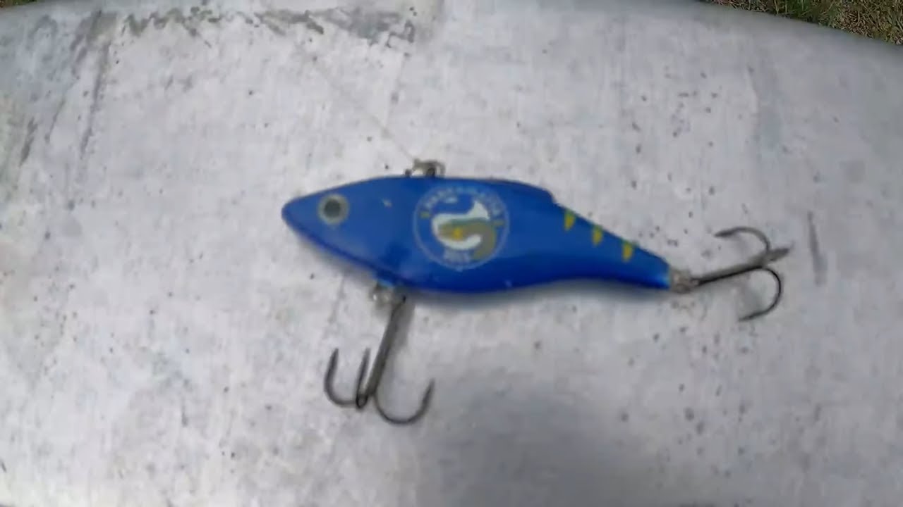 So Close, Almost Caught A Trophy. GO PARRA. - YouTube