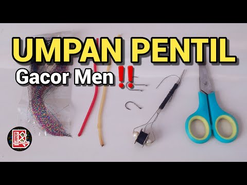 CARA MEMBUAT UMPAN PENTIL GACOR‼️100% STRIKE