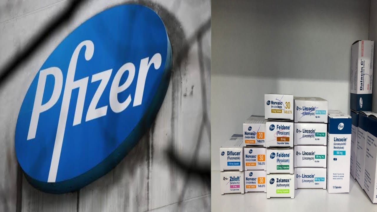 Pfizer Pharmaceutical Company Review 2023 || Lincocin Cap 500mg || Pain ...