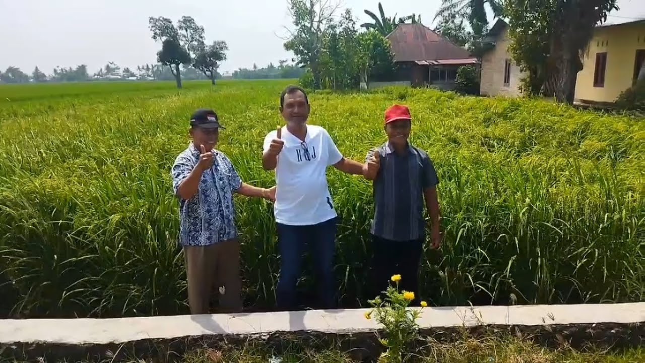 Aplikasi dan Testimoni Pupuk Cair Organik Biota Plus di daerah Kab ...