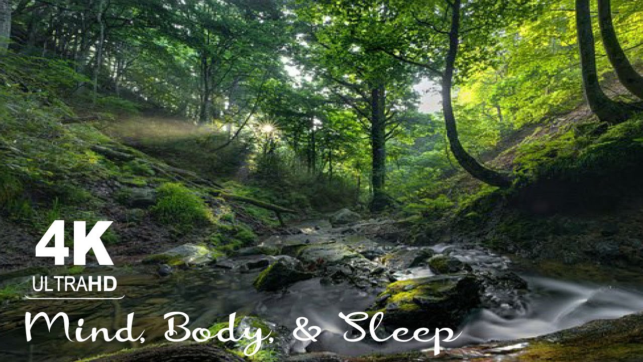 The Best for Healing & Sleeping, MUSIC FOR HEALING & SLEEPING | 4K ...