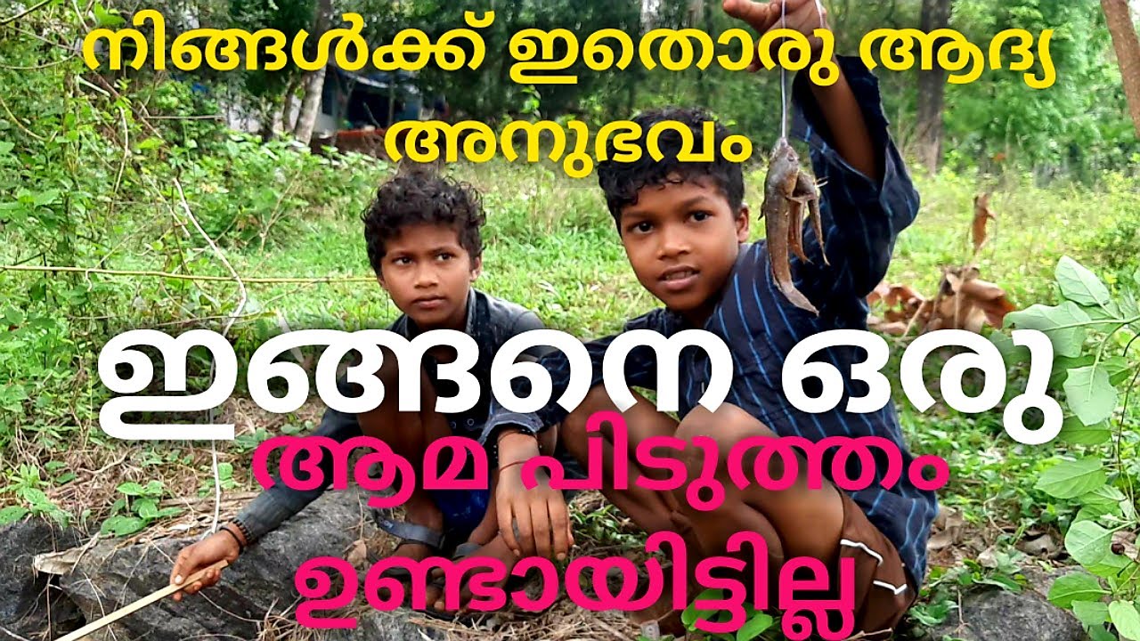 ഒരു വെറൈറ്റി ആമ പിടുത്തം | kalavandi vlogs | malayalam | kala | Vandi ...