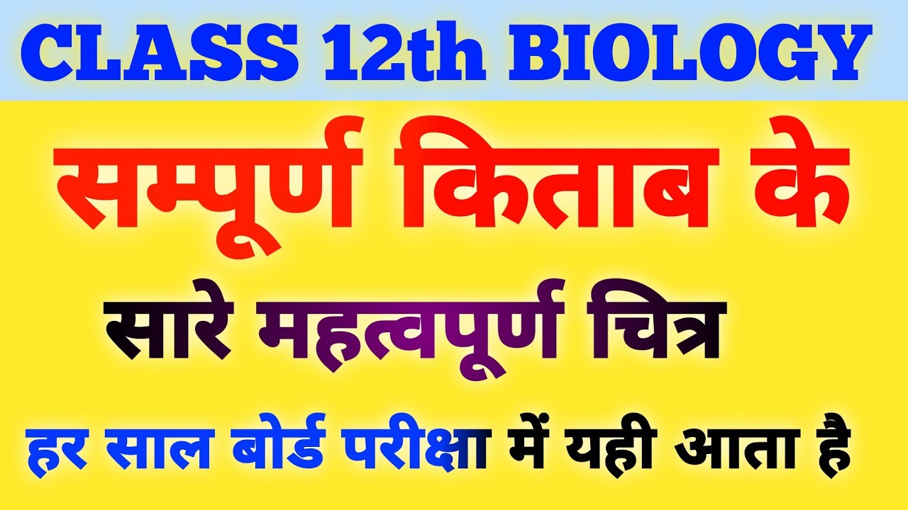Class 12th Biology के सम्पूर्ण किताब का चित्र || Up Board 12th Biology ...