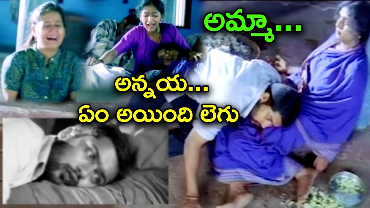 Laila And Sheela Kaur Crying For Suriya | | Rajashree | Telugu Cinema ...